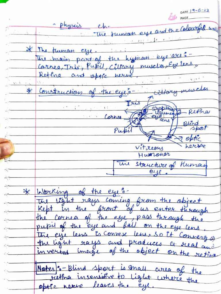 Human Eye and Colurfull World Notes | Download Free PDF | Face | Optics