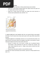 Peta Dermatome dan Inervasi Kulit | PDF