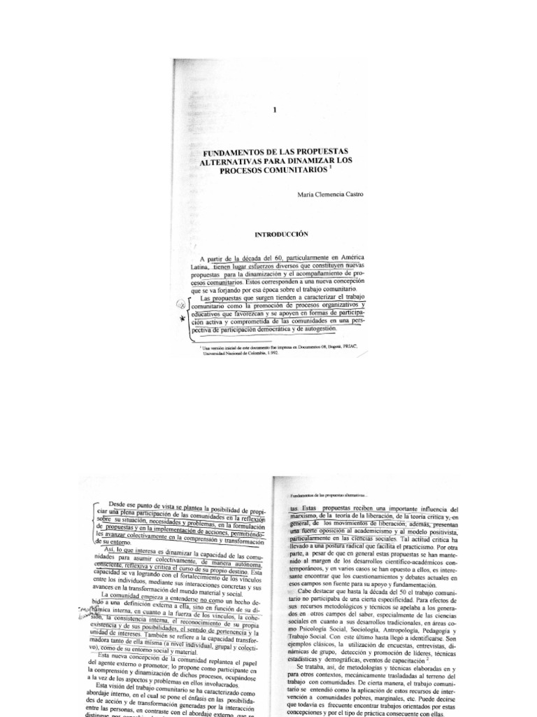 c12 Castro (2002), Dinamizar Procesos Comunitarios | PDF