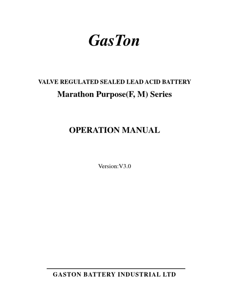 Gaston Batt Data Sheet | PDF | Battery (Electricity) | Rechargeable Battery