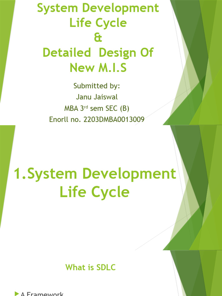 Janu Jaiswal's MIS | PDF | Specification (Technical Standard) | Databases