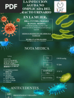 GPC Ivu | PDF | Infección del tracto urinario | Cuidado de la salud