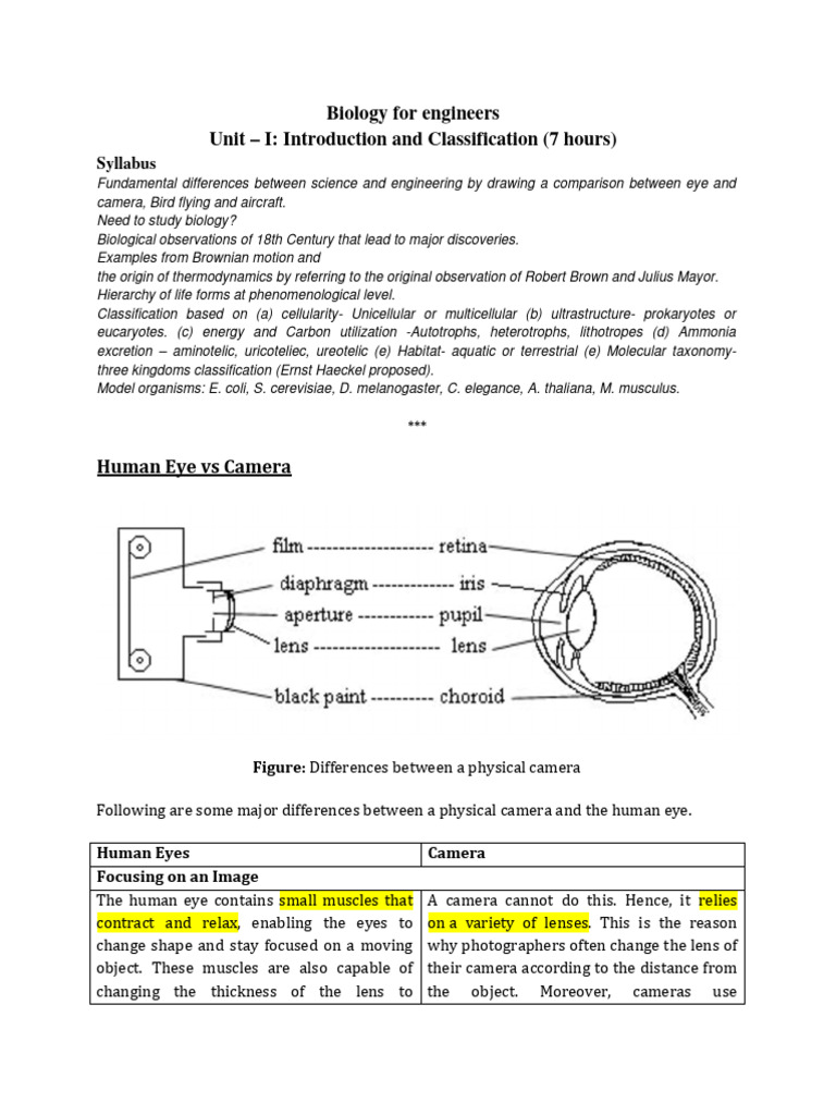 Unit 1 BIOE | PDF | Cell (Biology) | Model Organism