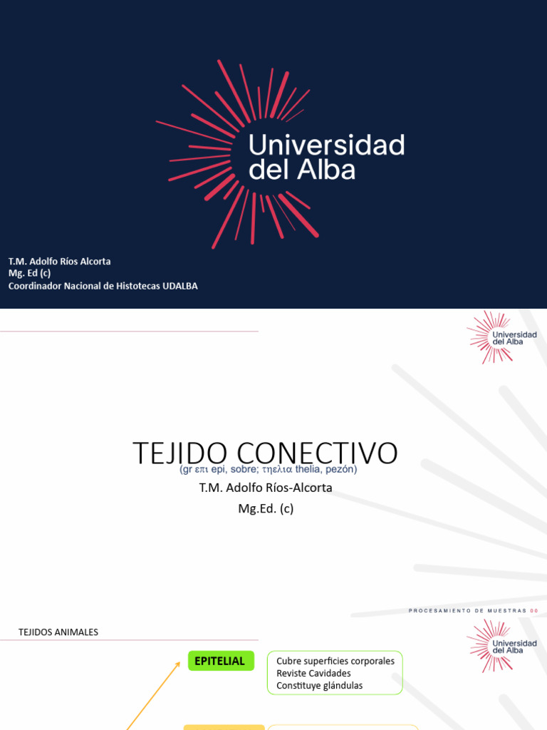06 Tejidos Conectivos Udalba Remedial Med 2023 | PDF | Tejido conectivo | Epitelio