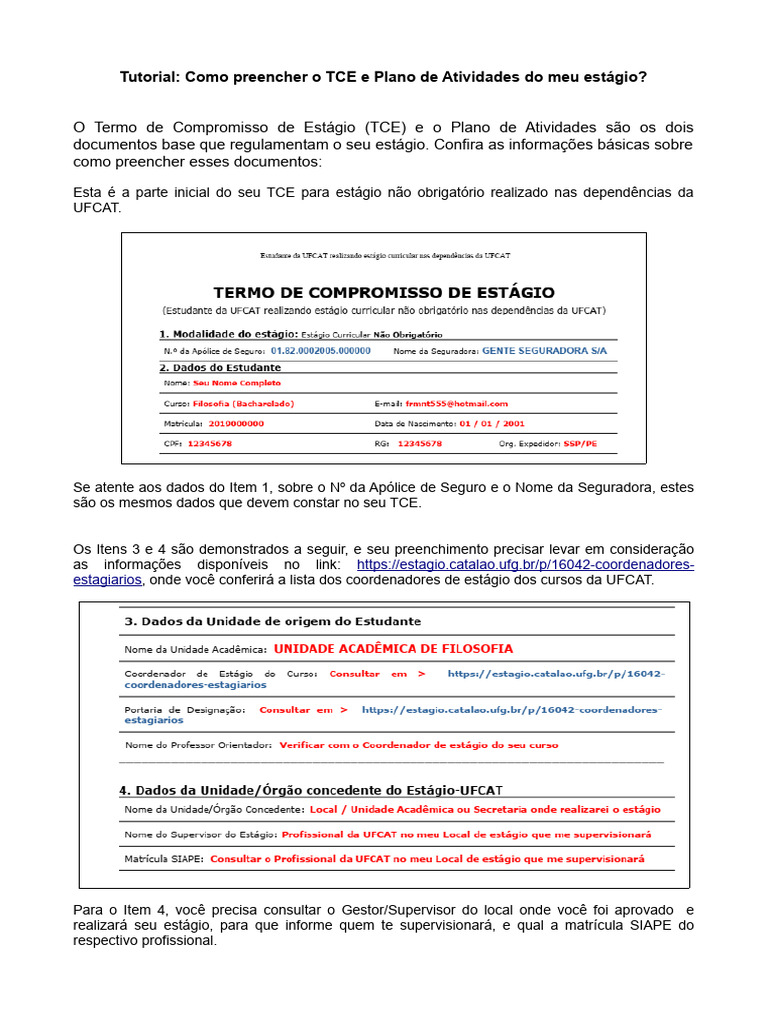 Tutorial Preenchimento Do TCE e Do Plano de Atividades | PDF