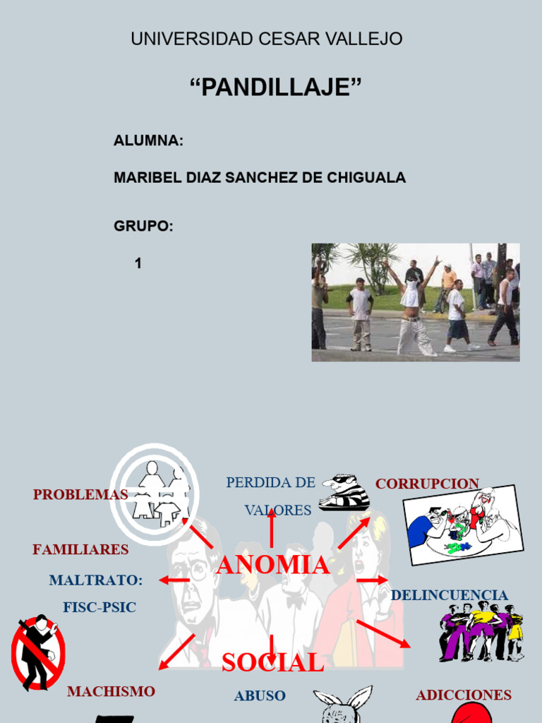 Conceptos y Consecuencias del Pandillaje | PDF | Sra. 13 | Lima