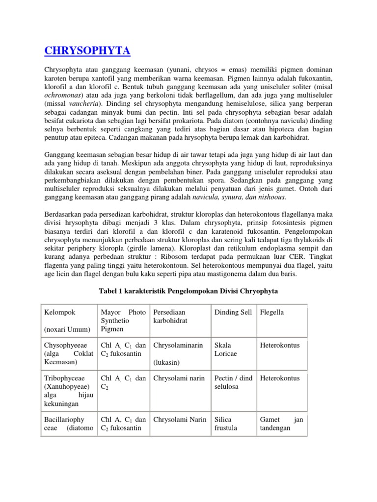"Chrysophyta: Ganggang Keemasan" | PDF