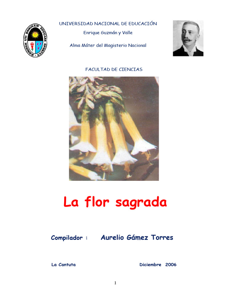 Leyenda de la Flor Sagrada Cantuta | PDF | Imperio Inca