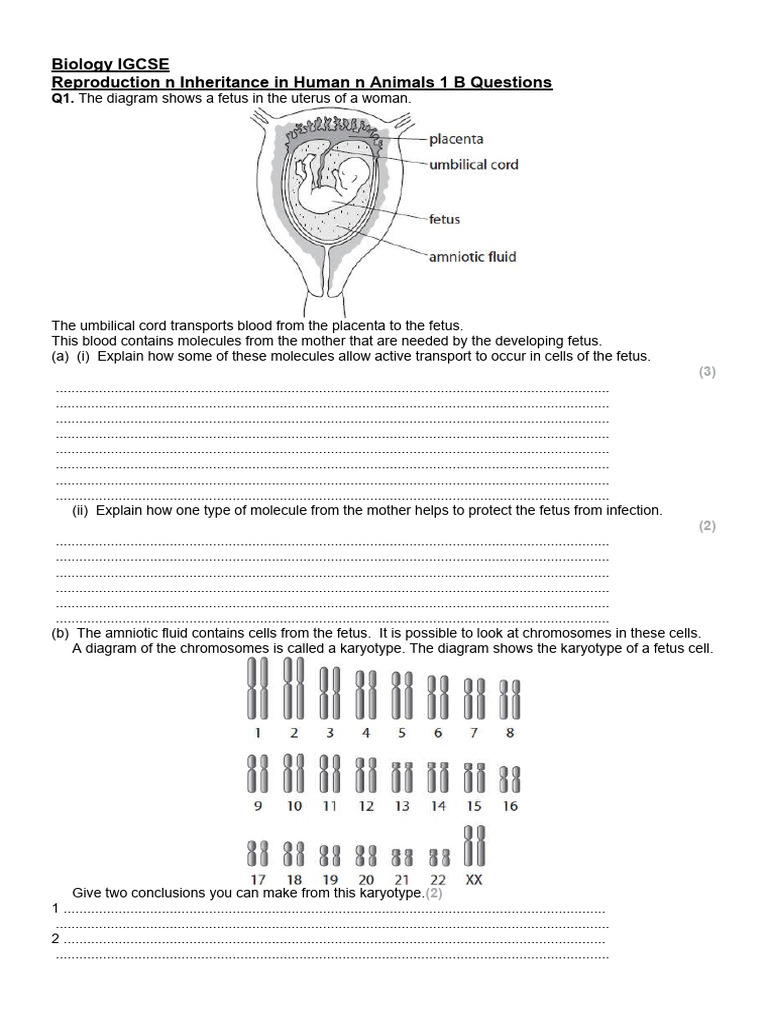 Reproductionn N Inheritence in Humans N Animals B1 | PDF | Zygosity ...