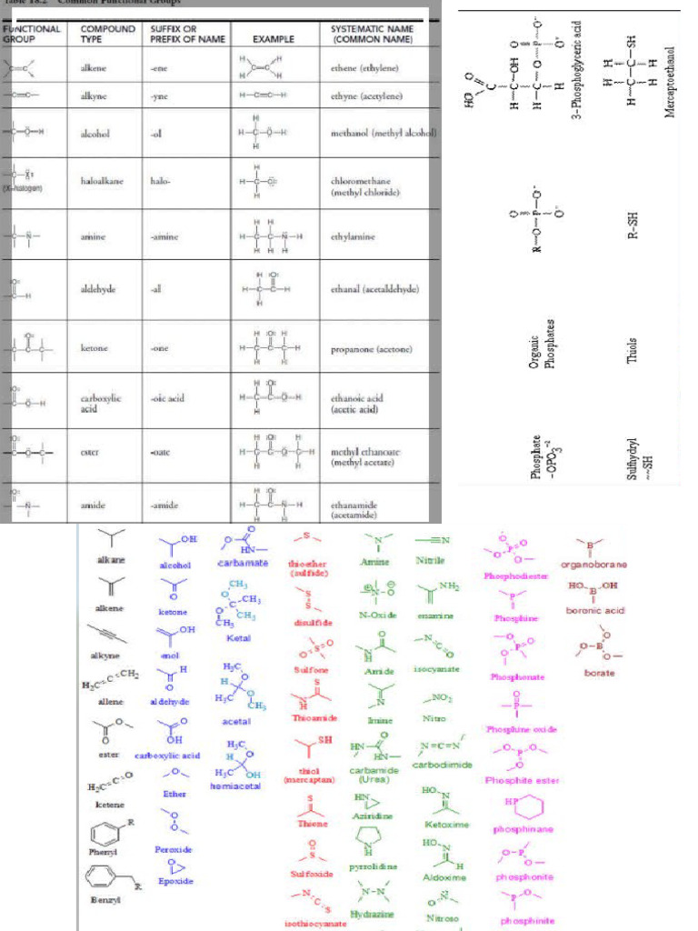 functional groups | PDF