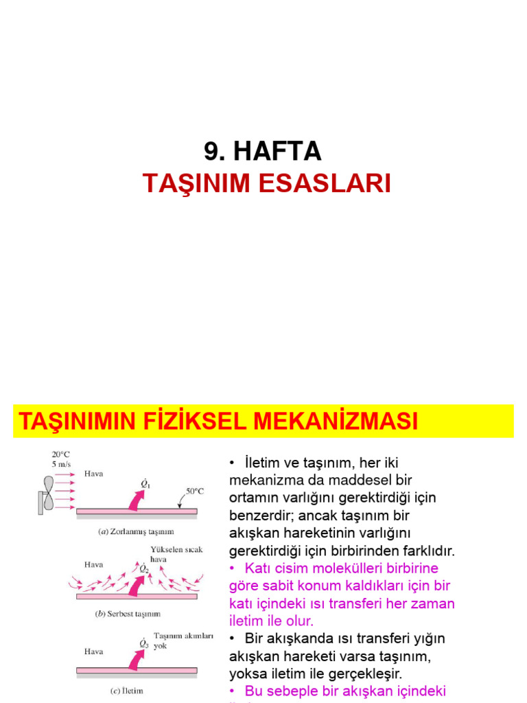 Hafta 9 | PDF