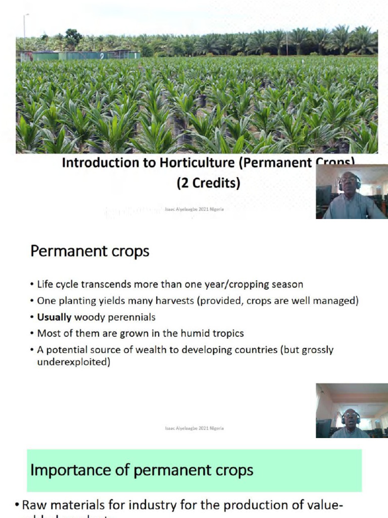 HRT301 Hay Why Oh? Compiled | PDF | Citrus | Cocoa Bean