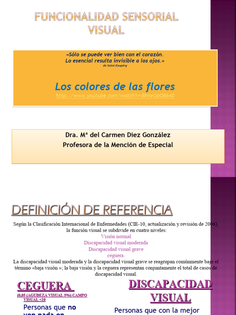 Tema 3. Discapacidad sensorial visual- curso 20-21- Abril- Mayo 2021 | PDF | Discapacidad visual ...