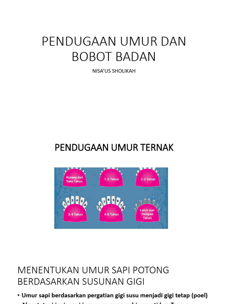 Umur dan Bobot Sapi Berdasarkan Gigi | PDF