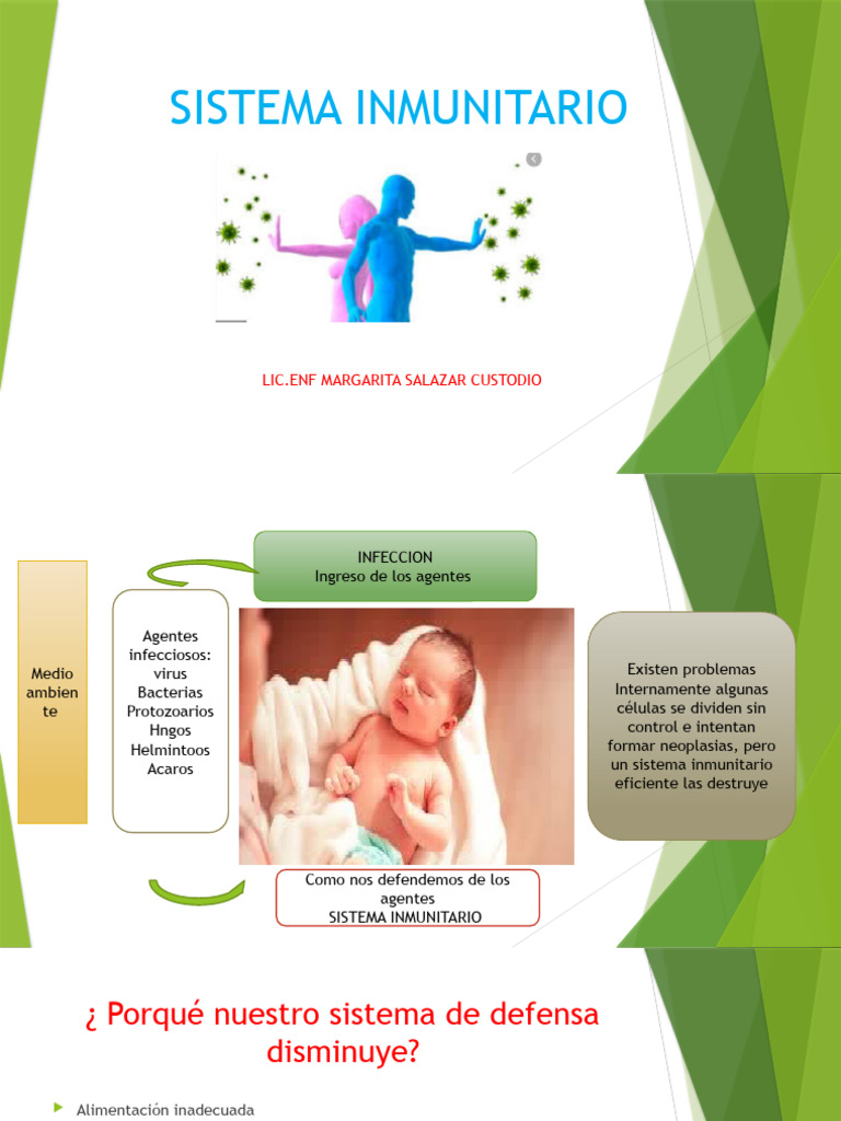 Celulas Del Sistema Inmunitario | PDF | Sistema inmune | Linfocitos