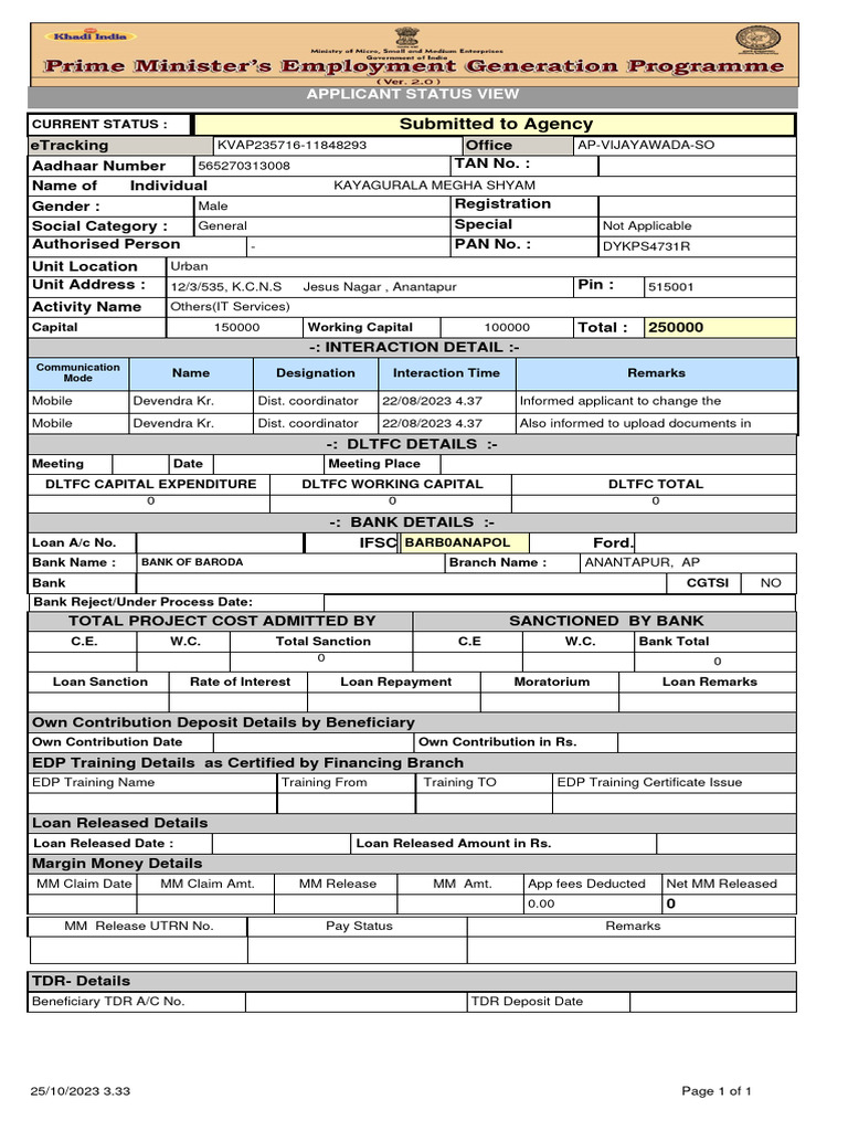 Applicant Status Overview for Loan Application | PDF | Banks | Loans