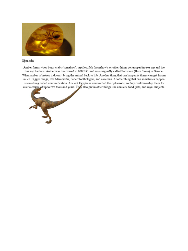 Amber | PDF