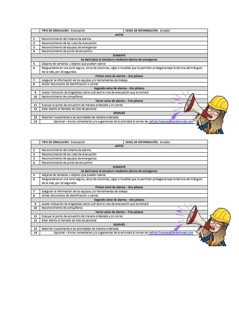 Tipo de Simulacro | PDF