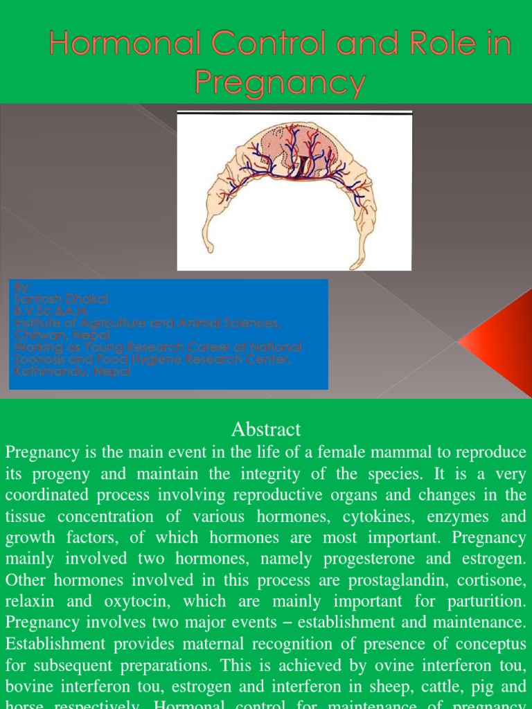 Hormones and Pregnancy in Animals | Luteinizing Hormone | Progesterone