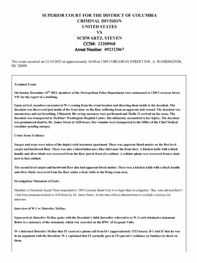 Steven Schwartz Court Documents | PDF