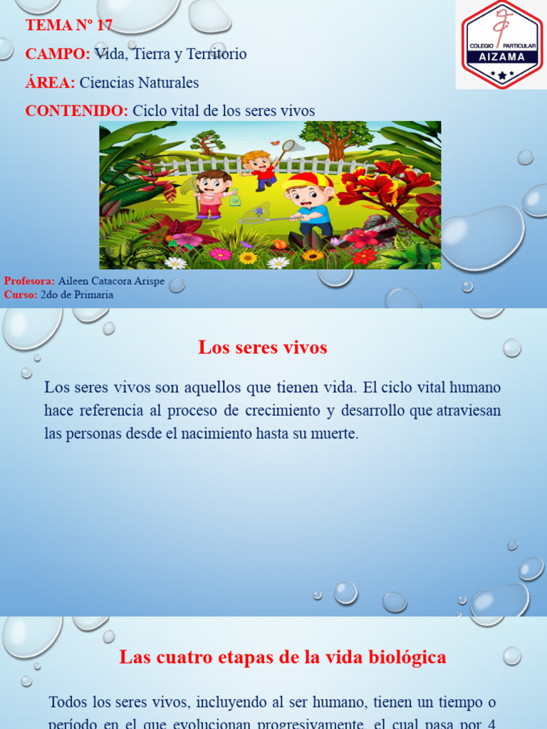 Ciclo Vital de Los Seres Vivos | PDF
