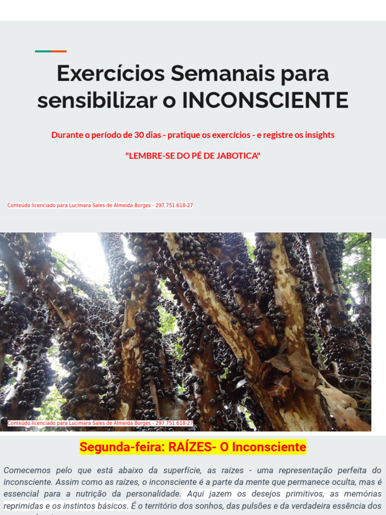 Exercicio1 Inconsciente | PDF | Autoimagem | Mente inconsciente