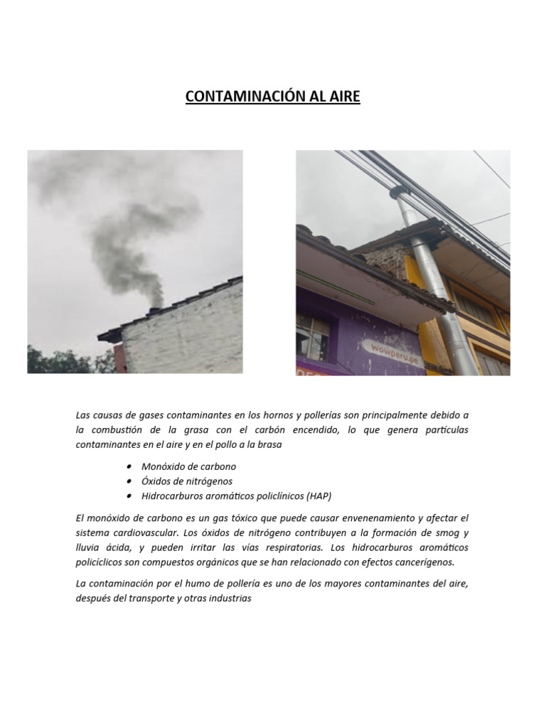 Contaminacion Del Aire | PDF | Contaminación | La contaminación del aire