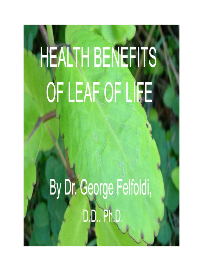 2023 - George Felfoldi (eBook-Herbs) Health Benefits of Leaf of Life ...