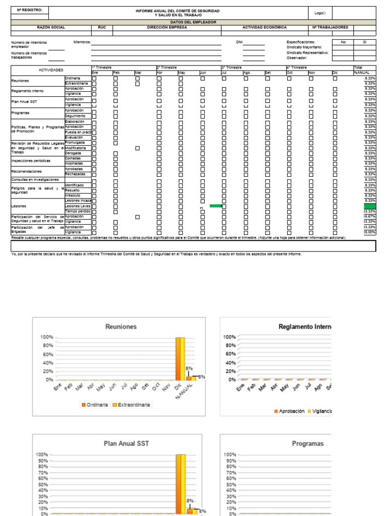 Check List - Informe Anual CSST | PDF