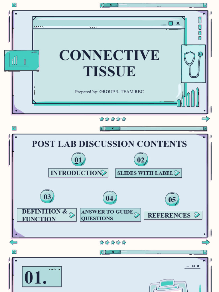 Connective Tissue Report | PDF | Connective Tissue | Bone