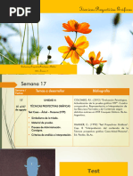 Informe e Interpretación Del HTP EJEMPLO | PDF | Arboles | Temor