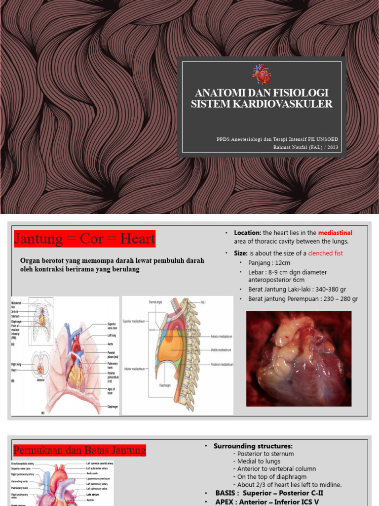 Modul Anatomi Dan Fisiologi Sistem Cardiovaskuler | PDF | Heart Valve | Heart