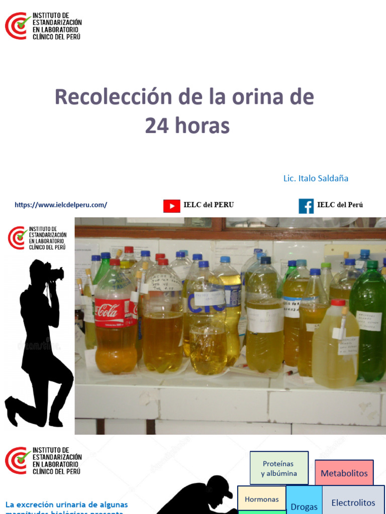 Orina de 24 Horas | PDF | Orina | Riñón