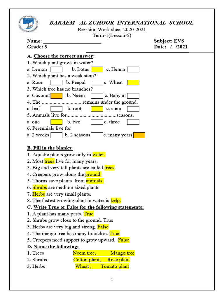Term 1 Revision W-S Answer Key | PDF