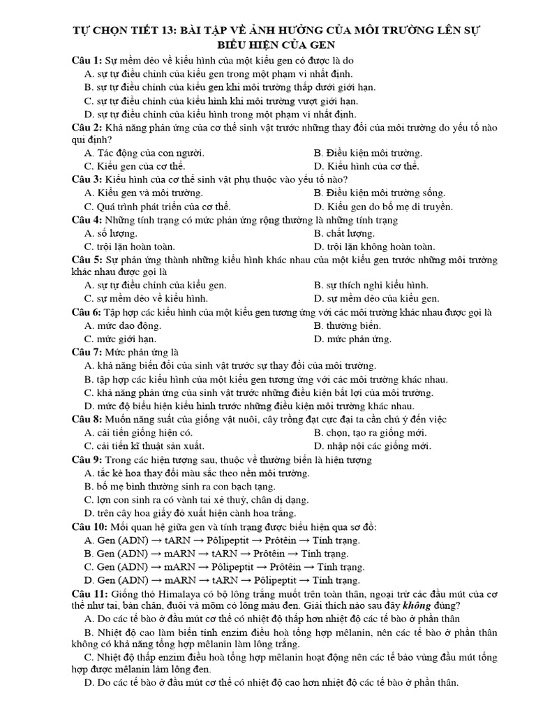 TC T13-Sinh12 D3e36 | PDF