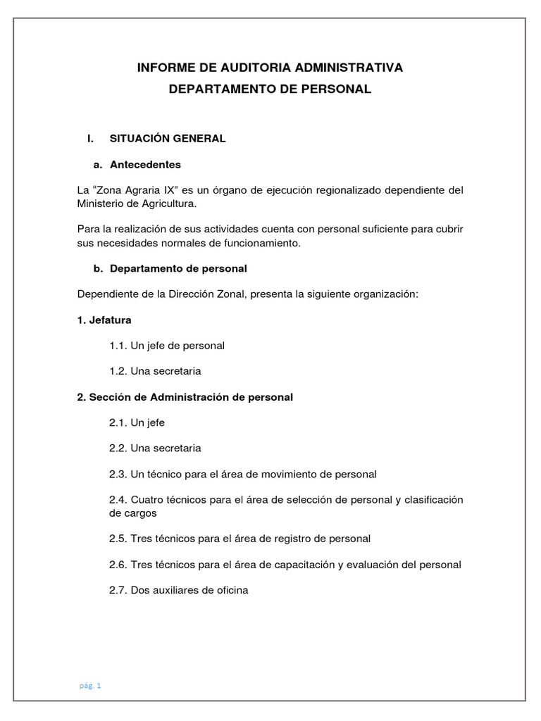 Informe Auditoria MODELO | PDF | Gestión de recursos humanos | Business