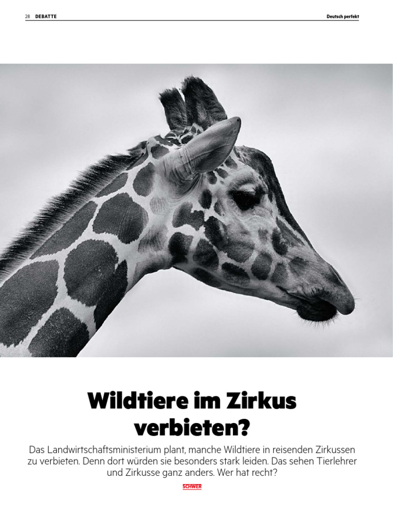 12 Tiere Im Zirkus | PDF