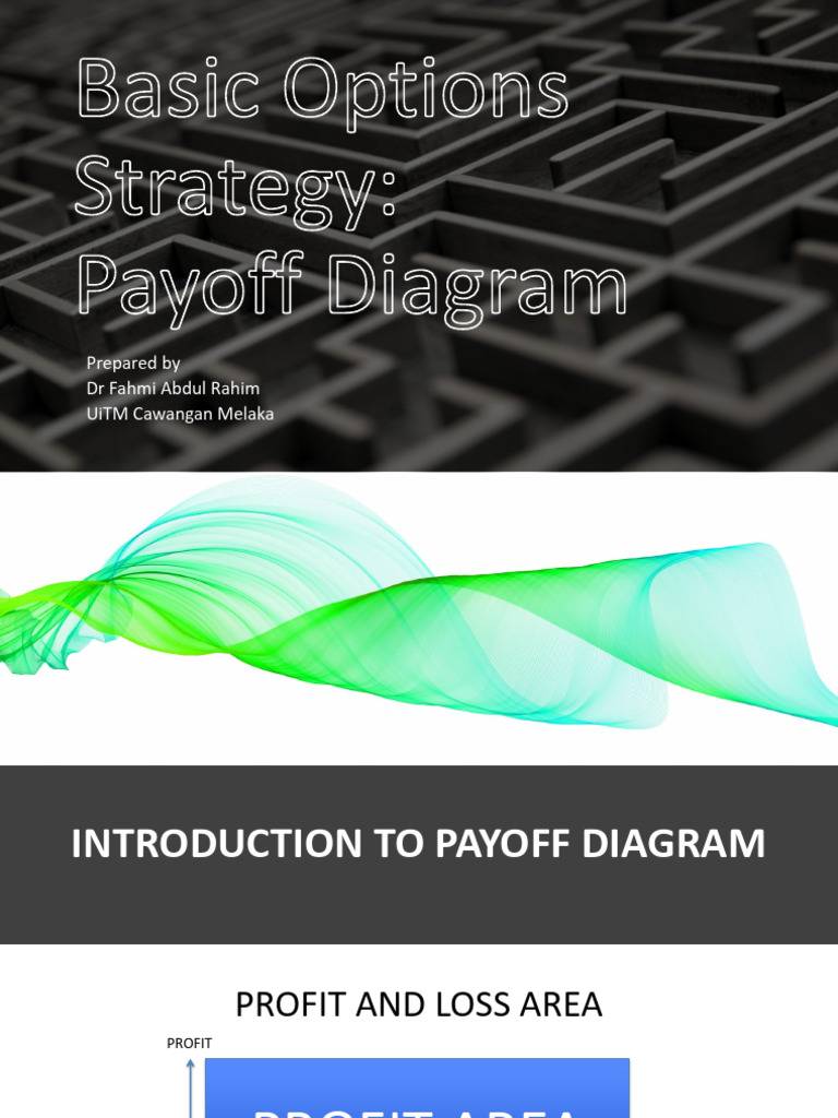 Options Payoff Diagrams Explained | PDF | Option (Finance) | Put Option