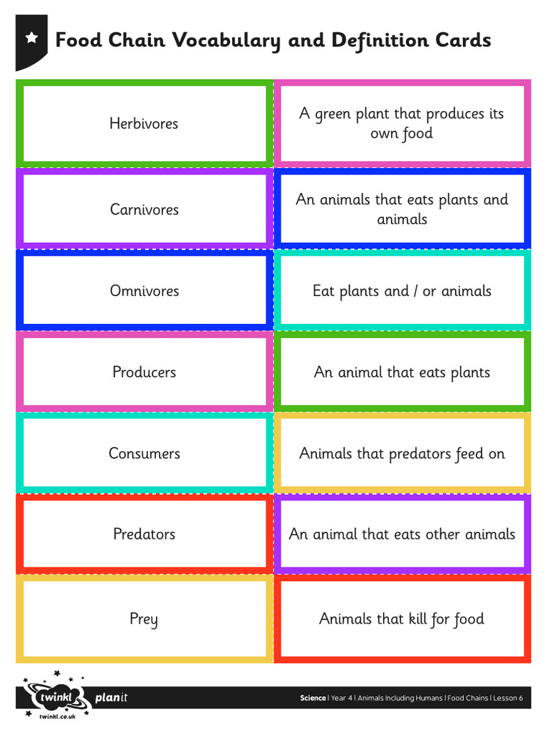 Food Chain Vocabulary and Definition Cards | PDF | Predation | Herbivore