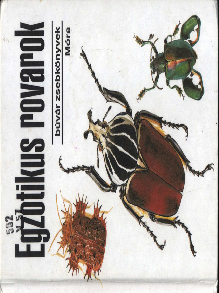 Egzotikus Bogarak - Móra | PDF