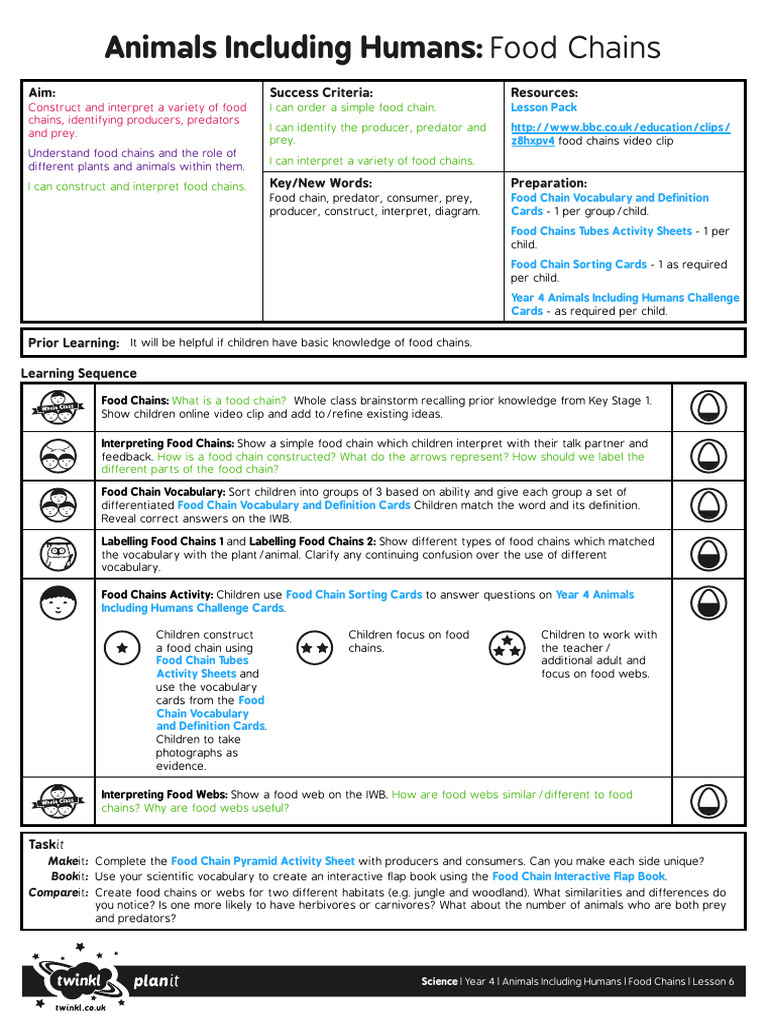 lesson-plan-food-chains | PDF | Food Web | Foods