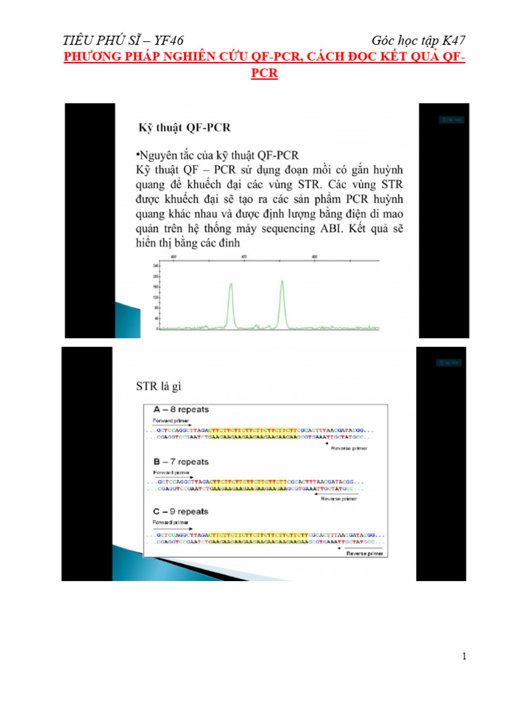 CÁCH ĐỌC QF-PCR | PDF