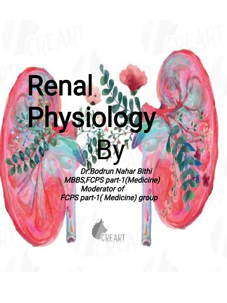 Renal Physiology | PDF