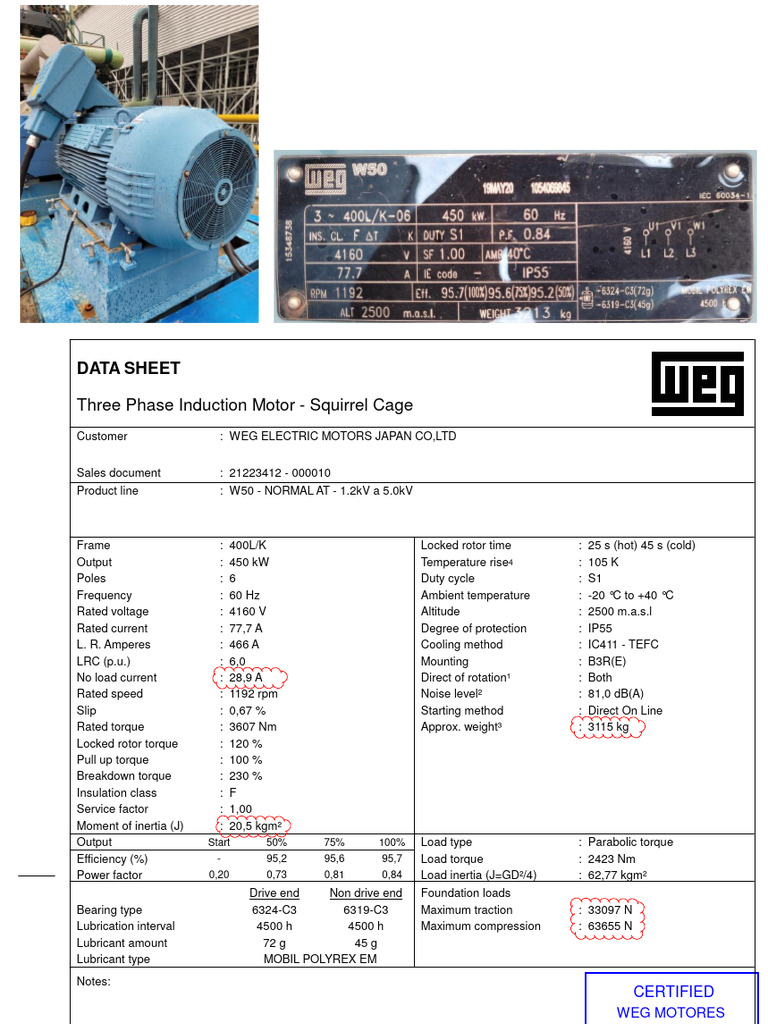 Three Phase Induction Motor Data Sheet | PDF | Electric Motor | Electricity