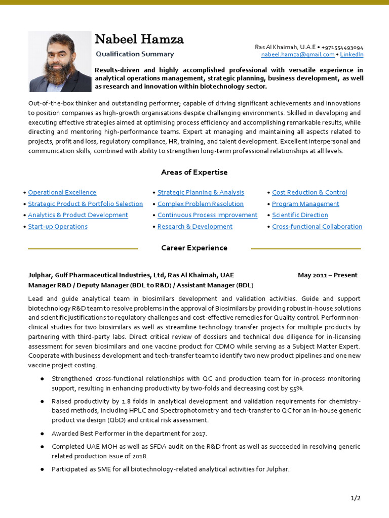 Nabeel Hamza Professional CV - Sep2022 | PDF