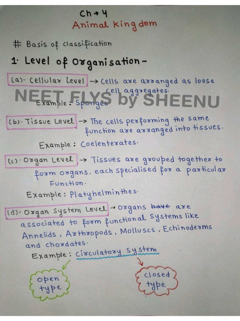 Animal Kingdom Class 11 | PDF