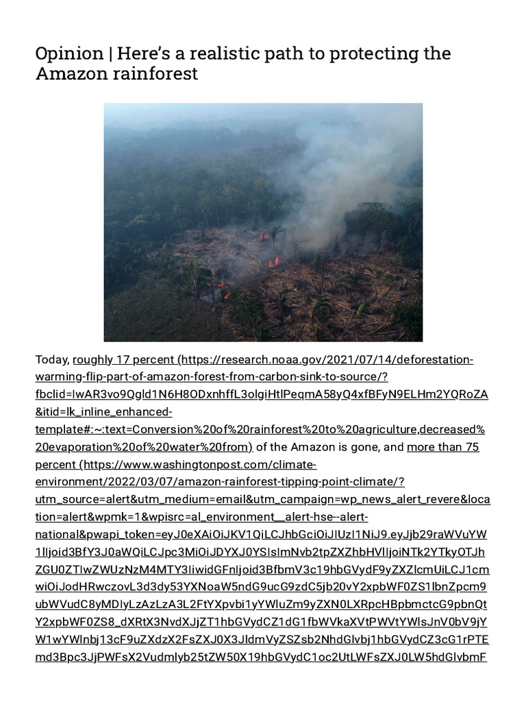 Opinion - How To Help Protect The Amazon Rainforest - Washington | PDF ...