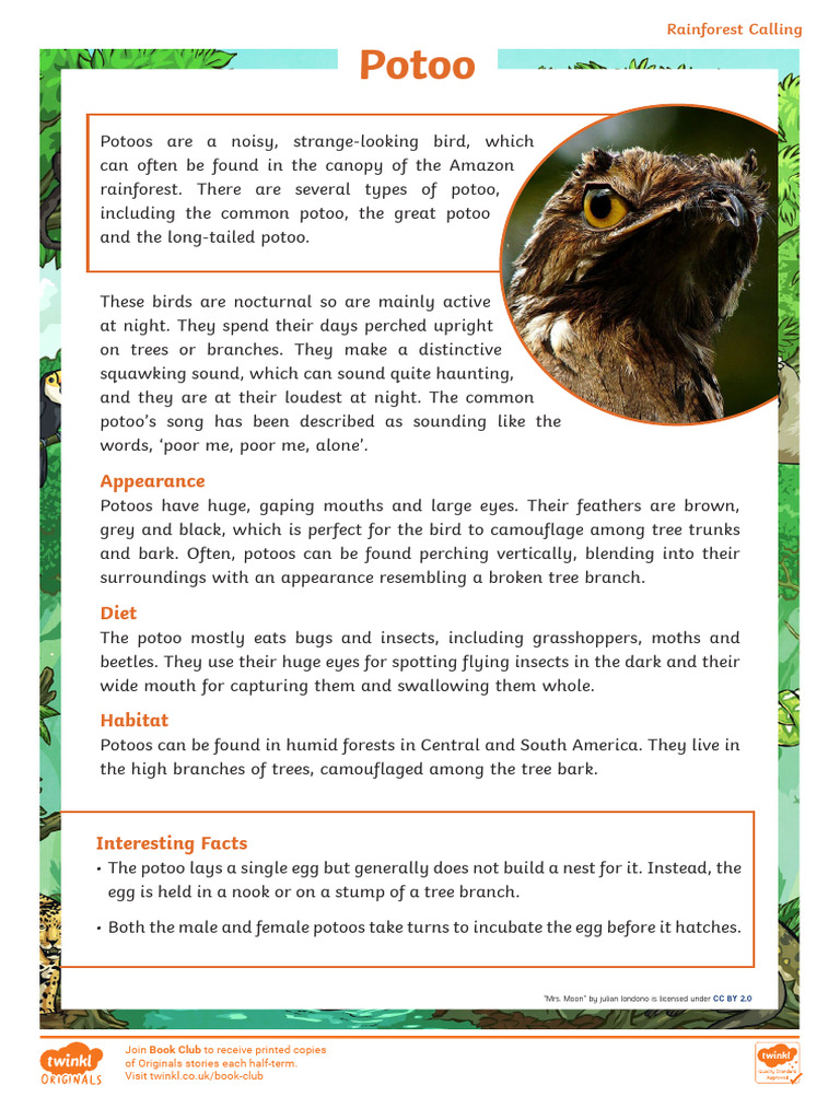 Animal Fact Files | PDF | Jaguar | Organisms