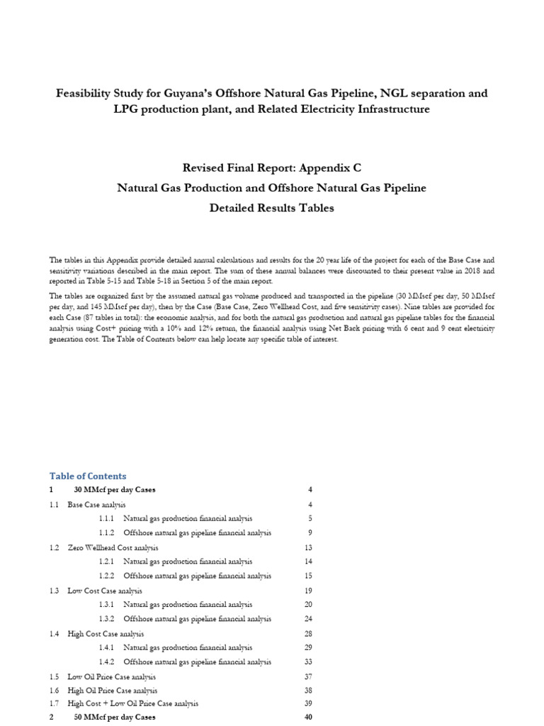 3-Energy Narrative - Guyana NG Feasibility Study - Revised Final Report ...