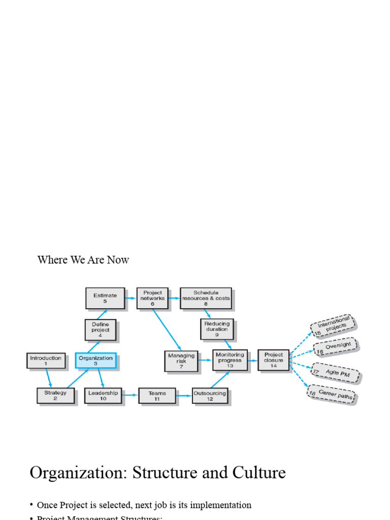 Orgn Structure N Culture | PDF | Organizational Culture | Project ...